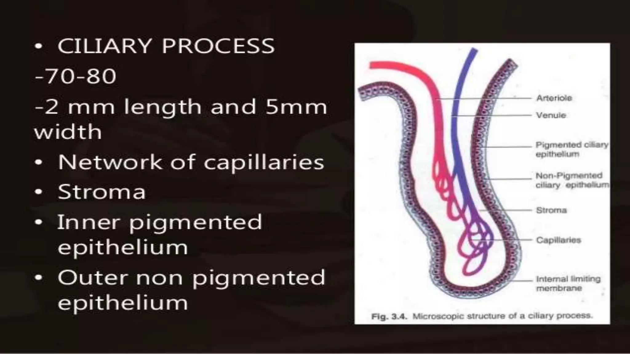Production and flow of aqueous humor | PPTX