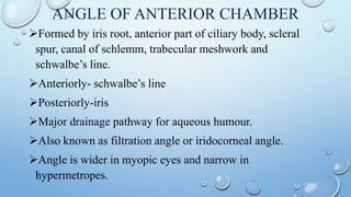 Production and flow of aqueous humor | PPTX