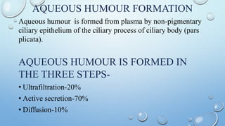 Production and flow of aqueous humor | PPTX