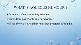 Production and flow of aqueous humor | PPTX