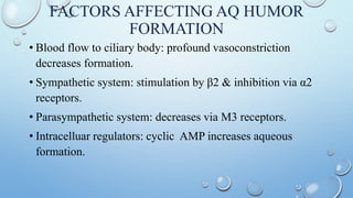 Production and flow of aqueous humor | PPTX