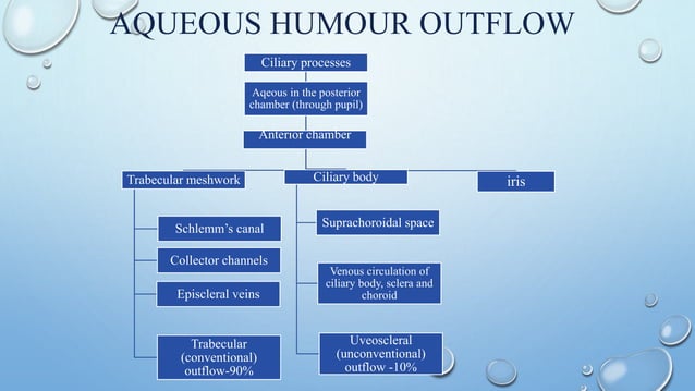 Production and flow of aqueous humor | PPTX