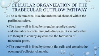 Production and flow of aqueous humor | PPTX