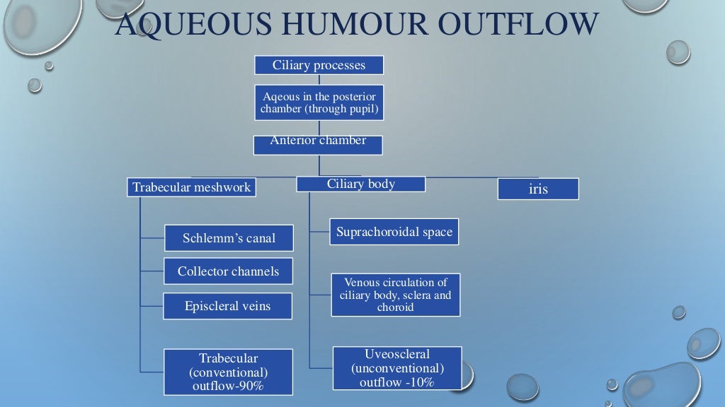 Production and flow of aqueous humor