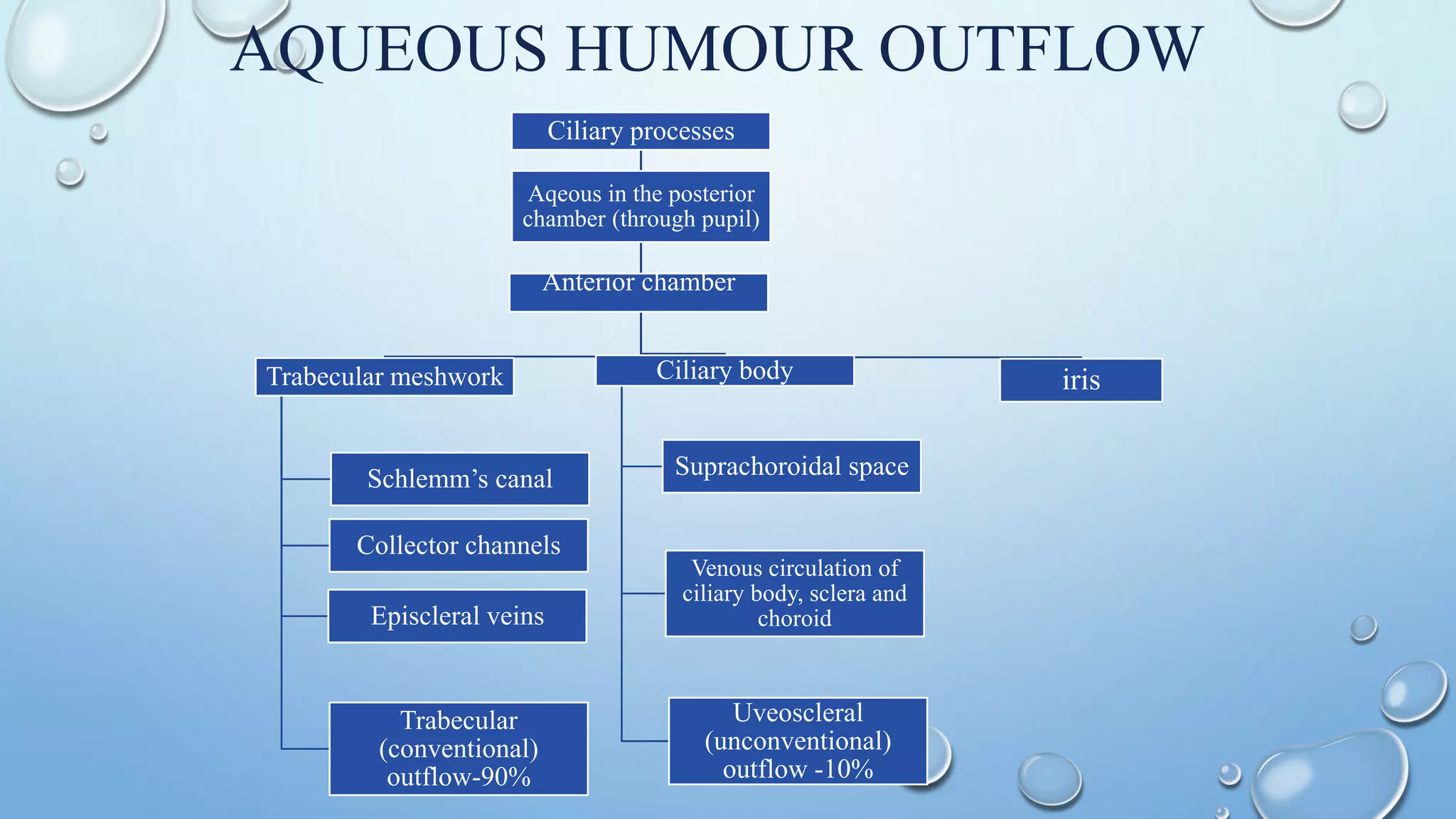 Production and flow of aqueous humor | PPTX