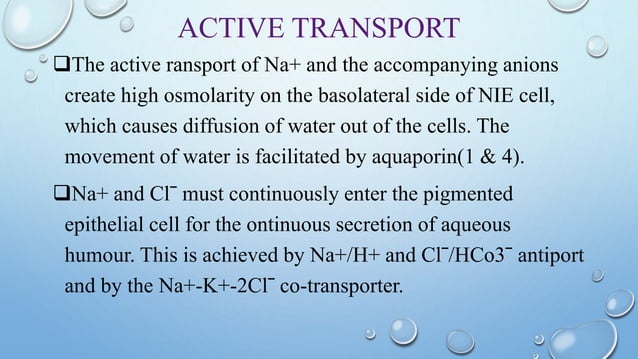Production and flow of aqueous humor | PPTX | Eye and Vision Conditions ...