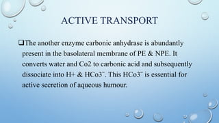 Production and flow of aqueous humor | PPTX