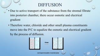 Production and flow of aqueous humor | PPTX
