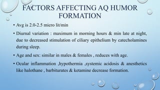 Production and flow of aqueous humor | PPTX