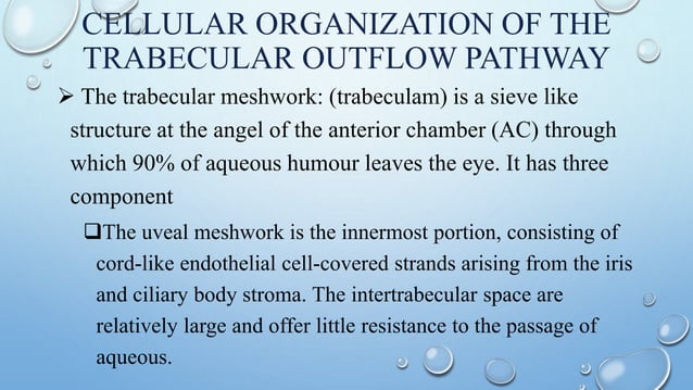 Production and flow of aqueous humor | PPTX | Eye and Vision Conditions ...