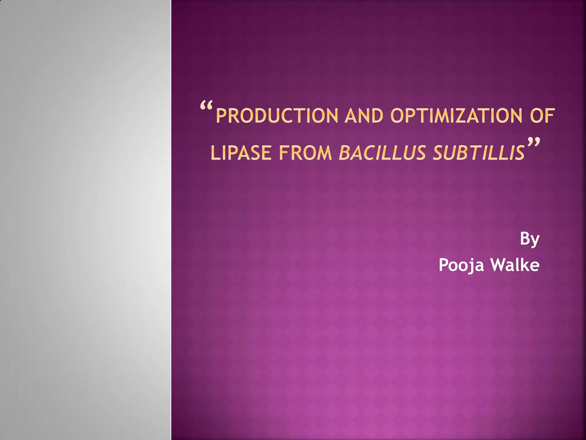 Production And Optimization Of Lipase From Bacillus Subtillis” Ppt