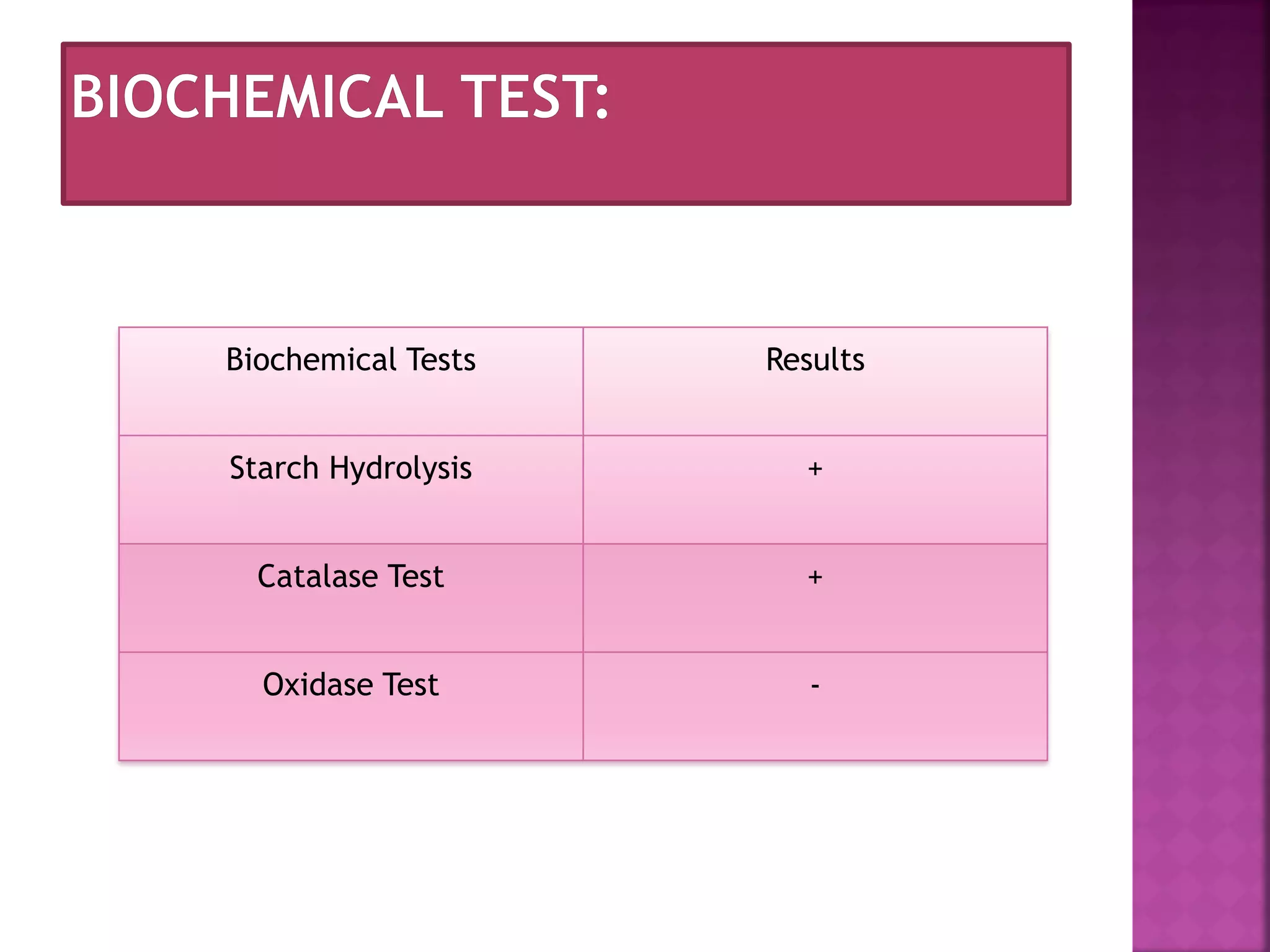 Production And Optimization Of Lipase From Bacillus Subtillis” Ppt