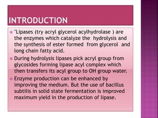 “Production and optimization of lipase from bacillus subtillis” | PPT