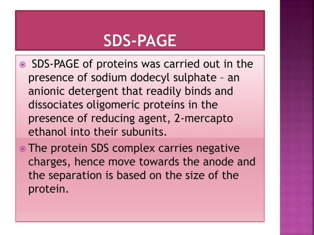 Production And Optimization Of Lipase From Bacillus Subtillis” Ppt
