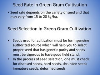 Production and protection technology of mungbean & urdbean | PPTX