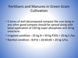 Production and protection technology of mungbean & urdbean | PPTX