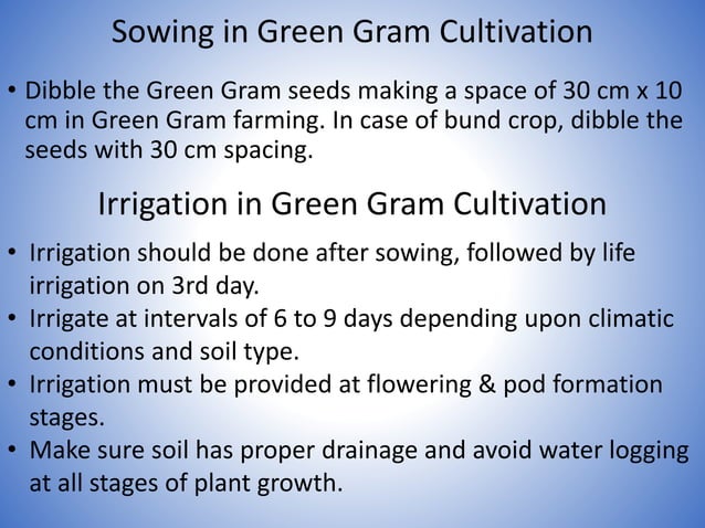 Production and protection technology of mungbean & urdbean | PPTX ...