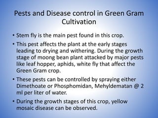 Production and protection technology of mungbean & urdbean | PPTX