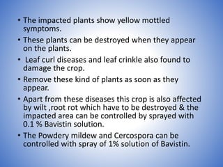 Production and protection technology of mungbean & urdbean | PPTX