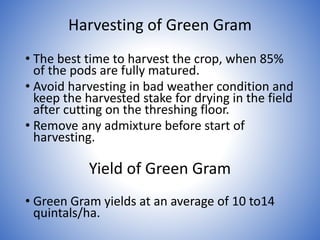 Production and protection technology of mungbean & urdbean | PPTX