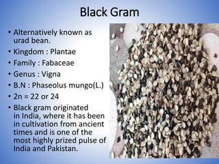 Production and protection technology of mungbean & urdbean | PPTX