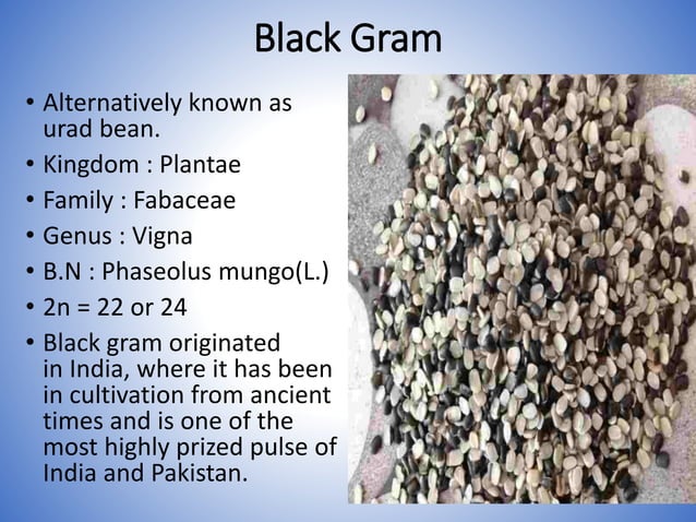 Production and protection technology of mungbean & urdbean | PPTX ...