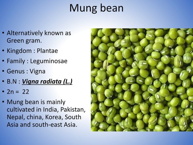 Production and protection technology of mungbean & urdbean | PPTX ...