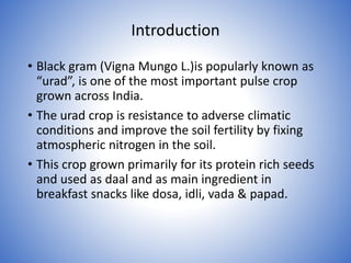Production and protection technology of mungbean & urdbean | PPTX