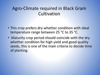 Production and protection technology of mungbean & urdbean | PPTX