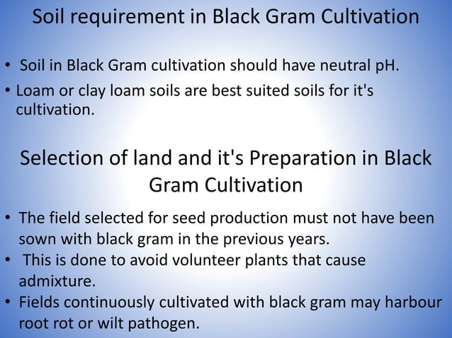 Production and protection technology of mungbean & urdbean | PPTX ...