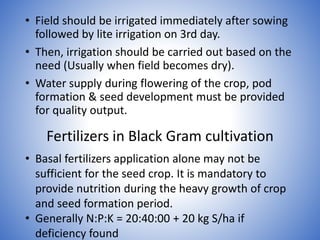 Production and protection technology of mungbean & urdbean | PPTX