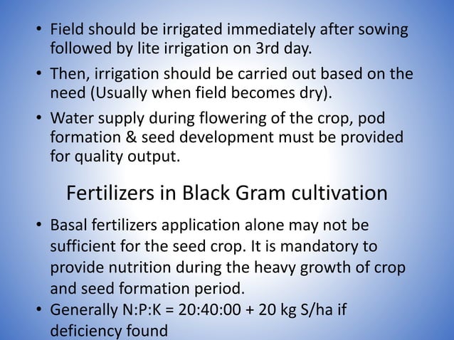 Production and protection technology of mungbean & urdbean | PPTX ...