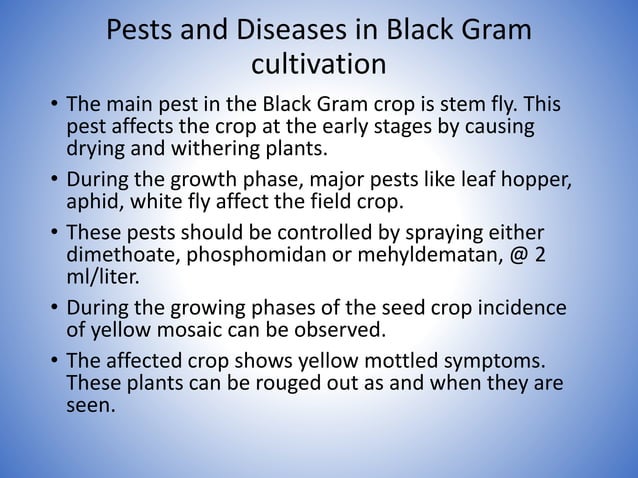 Production and protection technology of mungbean & urdbean | PPTX ...
