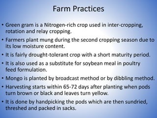 Production and protection technology of mungbean & urdbean | PPTX