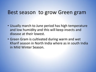 Production and protection technology of mungbean & urdbean | PPTX