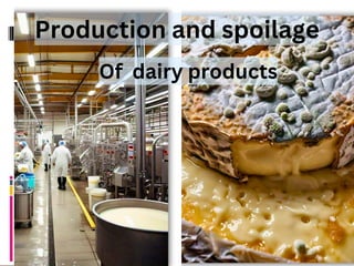 Production and spoilage of various dairy products | PDF