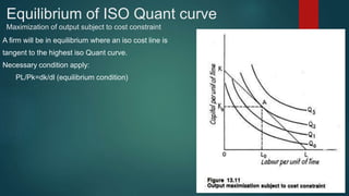 Production behaviour | PPTX