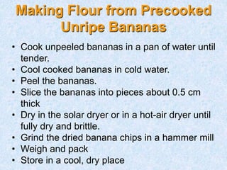 Production catchment processing of unripe banana for value added ...