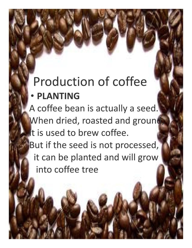 Production coffe | PDF
