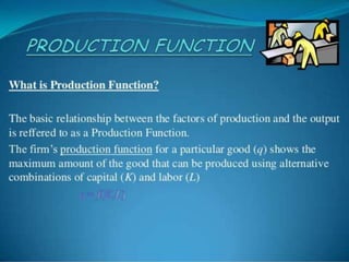 Production function and its functions | PPTX | Science