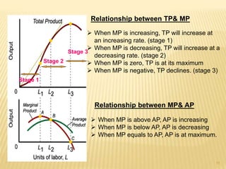 Production function | PPTX | Business | Business and Finance