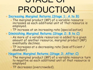 Production function | PPTX | Business | Business and Finance