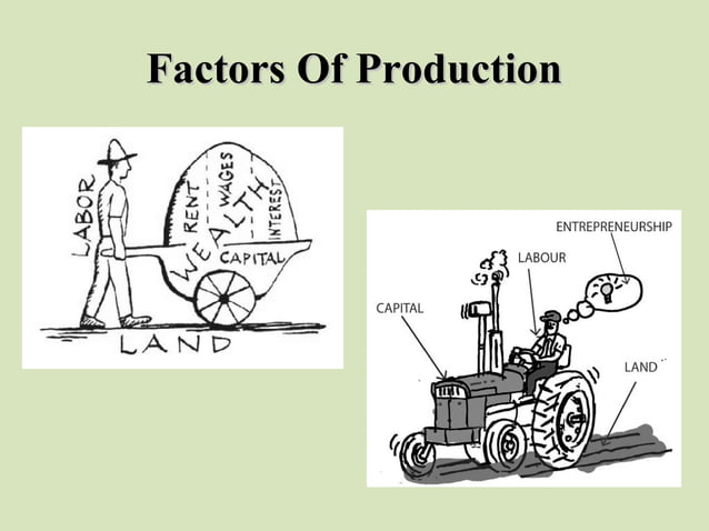 Production Function | PPT | Business | Business and Finance