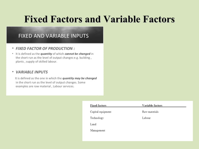Production Function | PPT | Business | Business and Finance