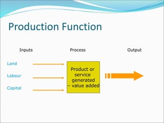 Production Function.ppt