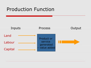 Production function final | PPT | Business | Business and Finance