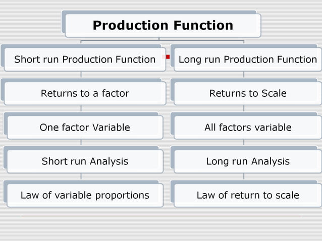 Production function final | PPT | Business | Business and Finance
