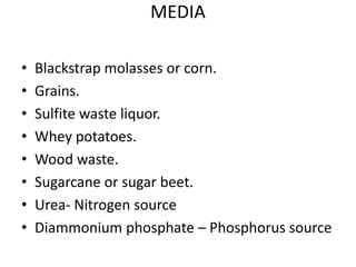Production of alcohol | PPTX