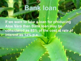 Production Of Aloe Vera | PPT