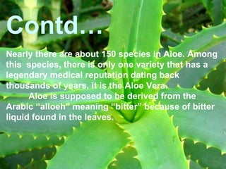Production Of Aloe Vera | PPT